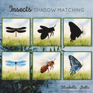 Insect Shadow Matching Cards. Montessori Pre-reading Printable for ...