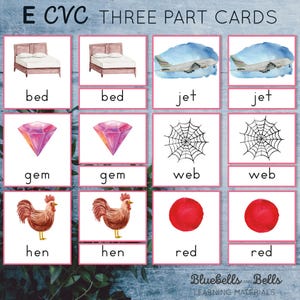 Montessori Printable CVC Phonics 3-part Cards. CVC Words Reading ...