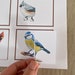 Toddler Puzzle Birds Halves Matching. Montessori Spring Printable Busy ...
