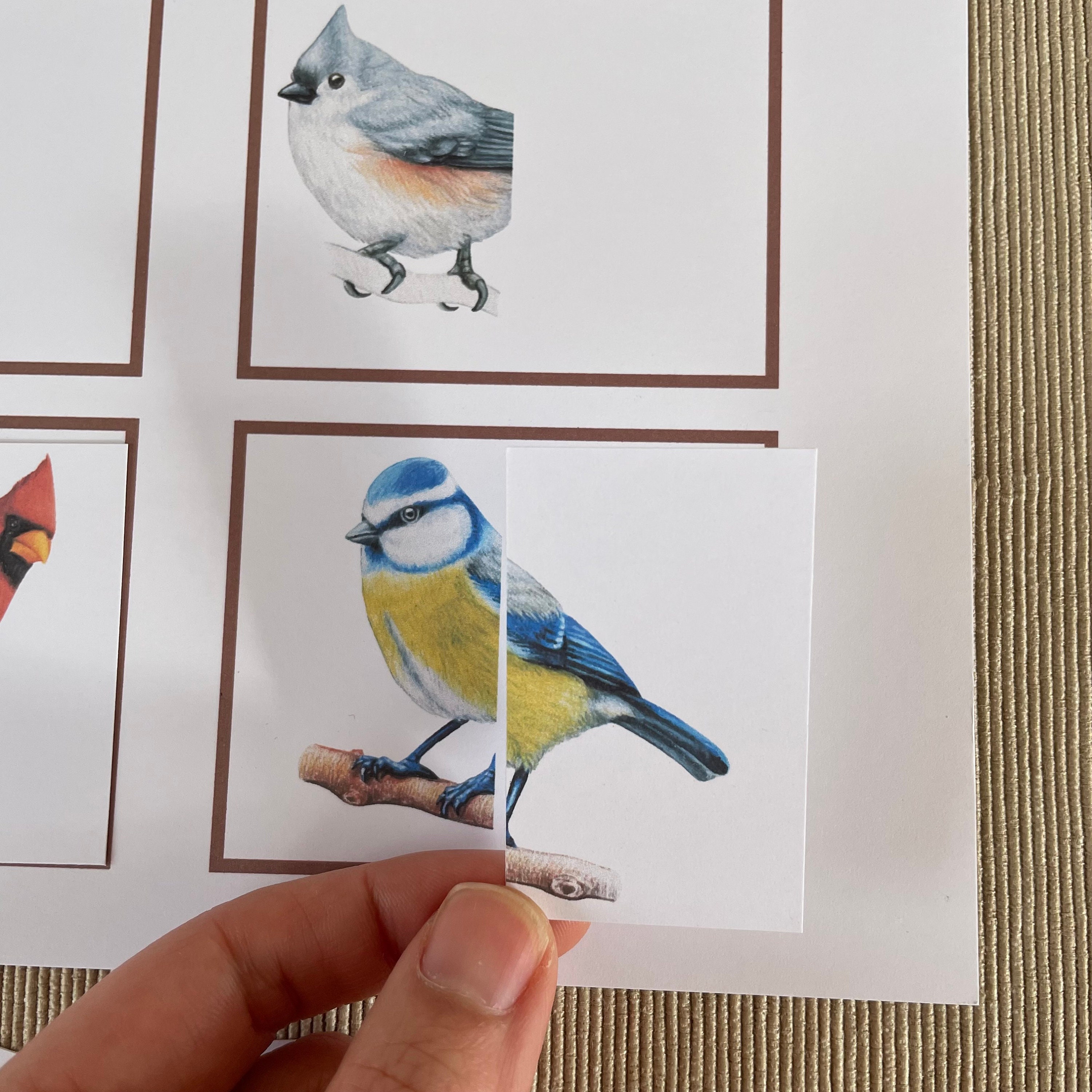 Toddler Puzzle Birds Halves Matching. Montessori Spring Printable Busy ...