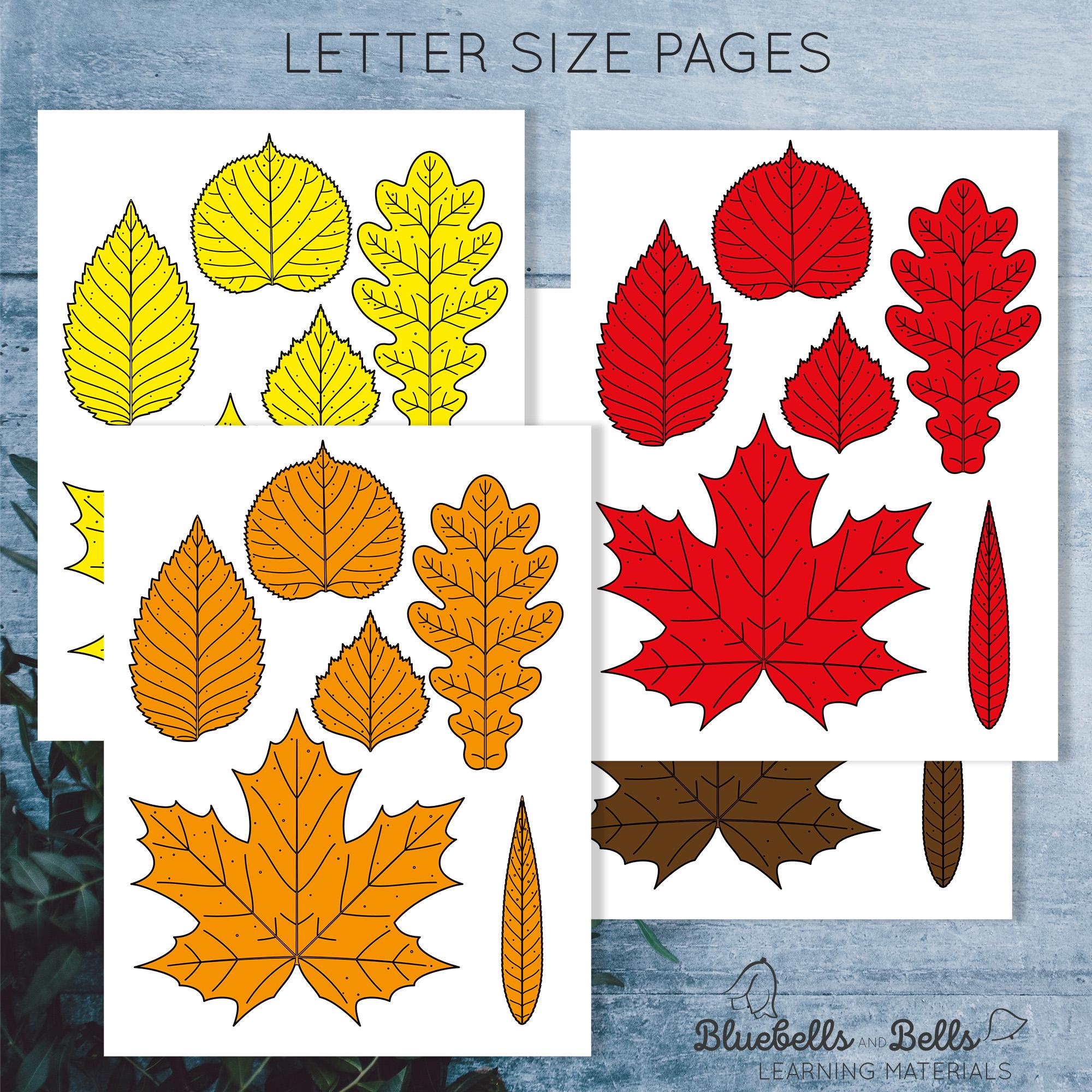 Color Sorting Fall Leaves Activity for Preschool. Shape Sorting ...