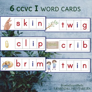 Montessori Printable Moveable Alphabet and CCVC Word Letter Matching ...