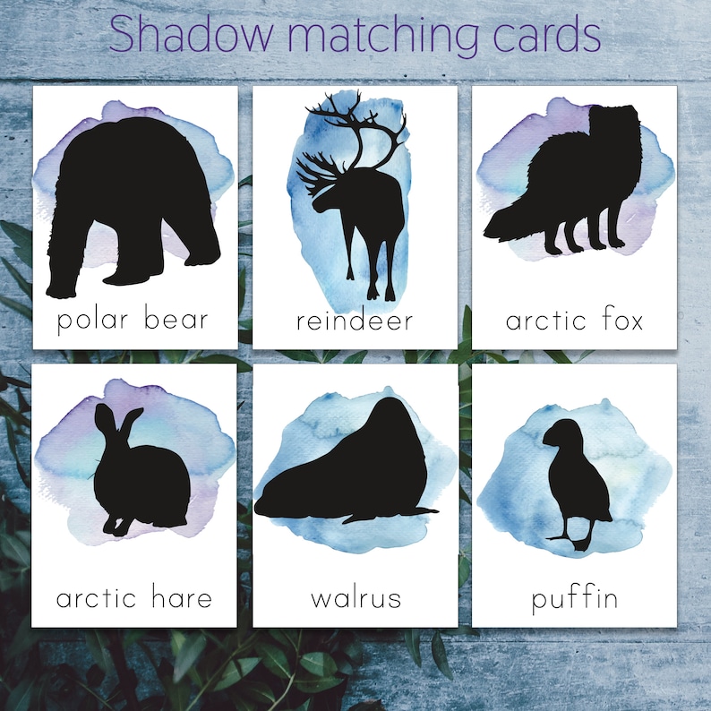 Arctic Animals Montessori Printable. North Pole Animals | Etsy