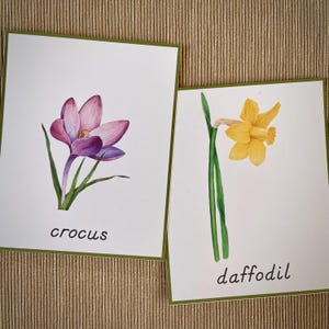 Flower Identification Printable Cards. Montessori Spring Printable. - Etsy