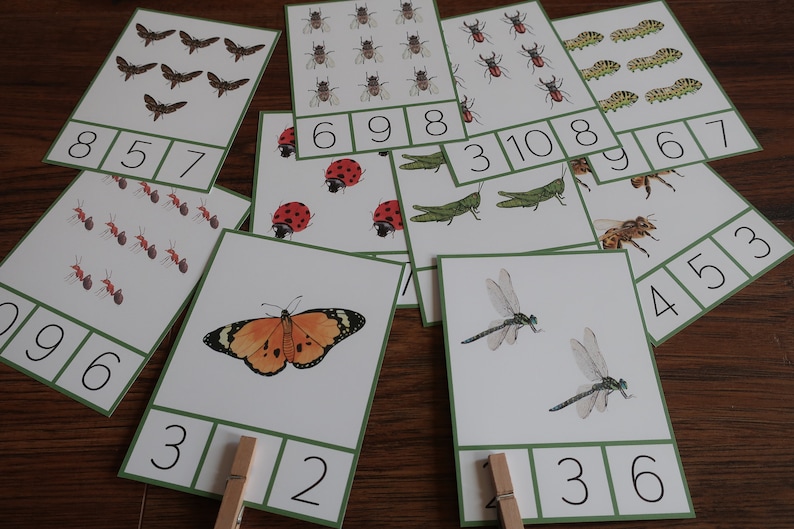 Insect Count and Clip Cards 1-10. Montessori Summer Math Printable ...