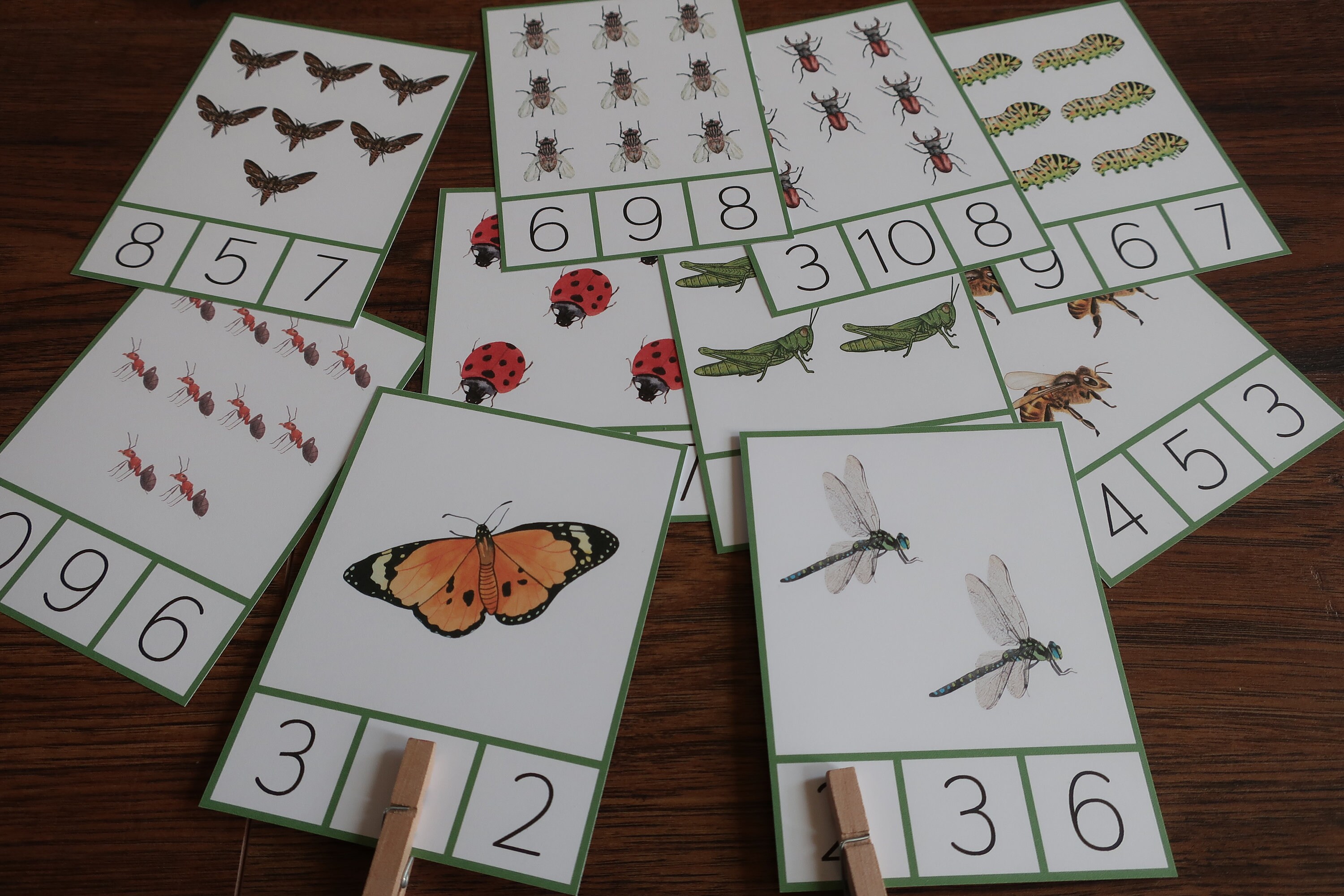 Insect Count and Clip Cards 1-10. Montessori Summer Math - Etsy
