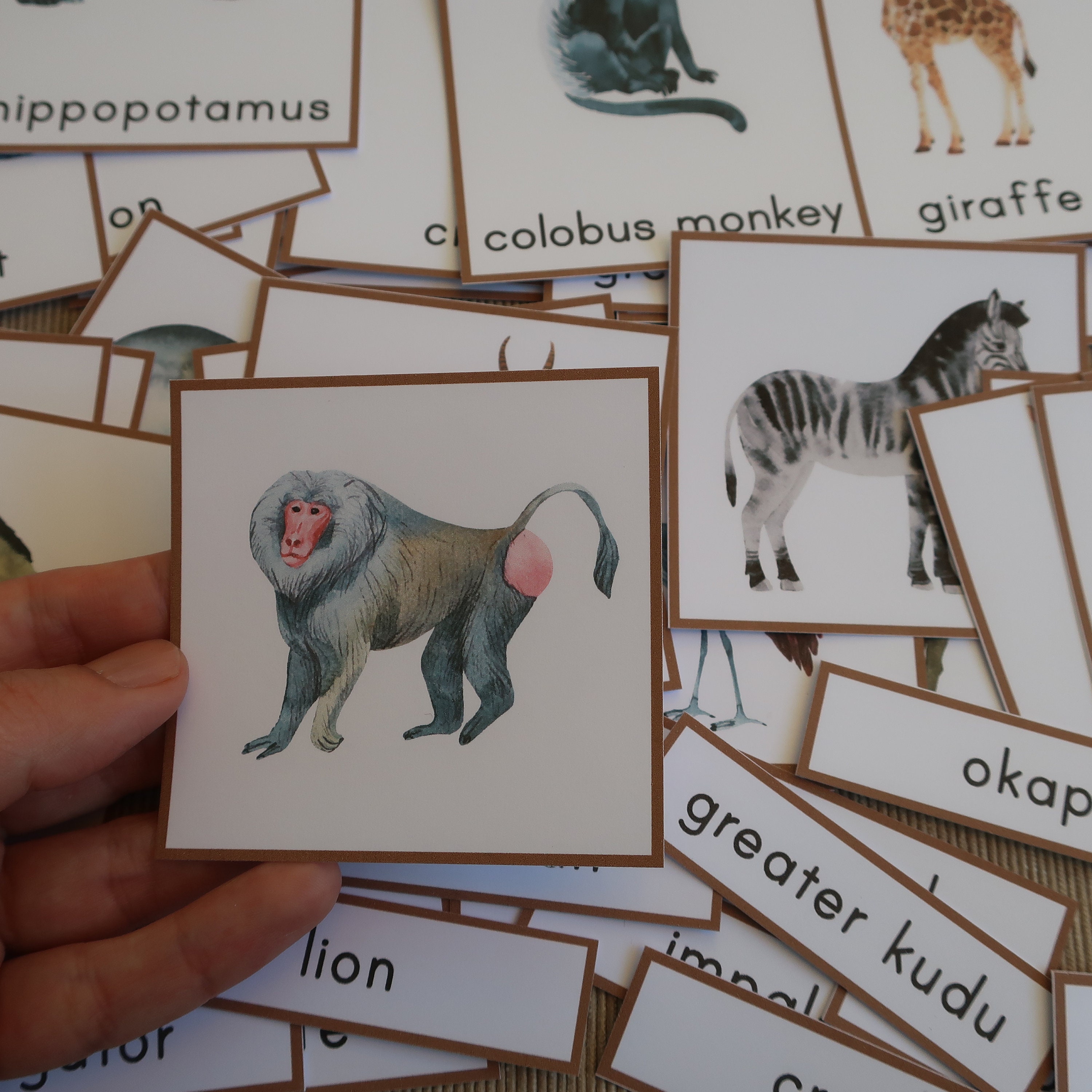 Africa Animals Montessori 3 Part Cards. Preschool and | Etsy