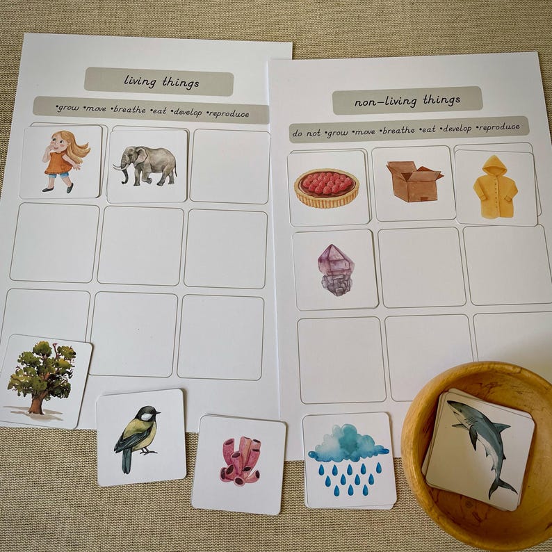 Living and Non-living Things Charts and Worksheets Sorting Activity ...