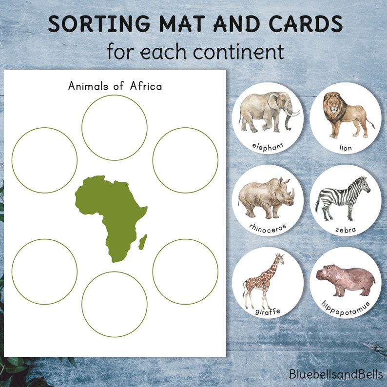 Animals of the Continents Posters and Sorting Activity. - Etsy