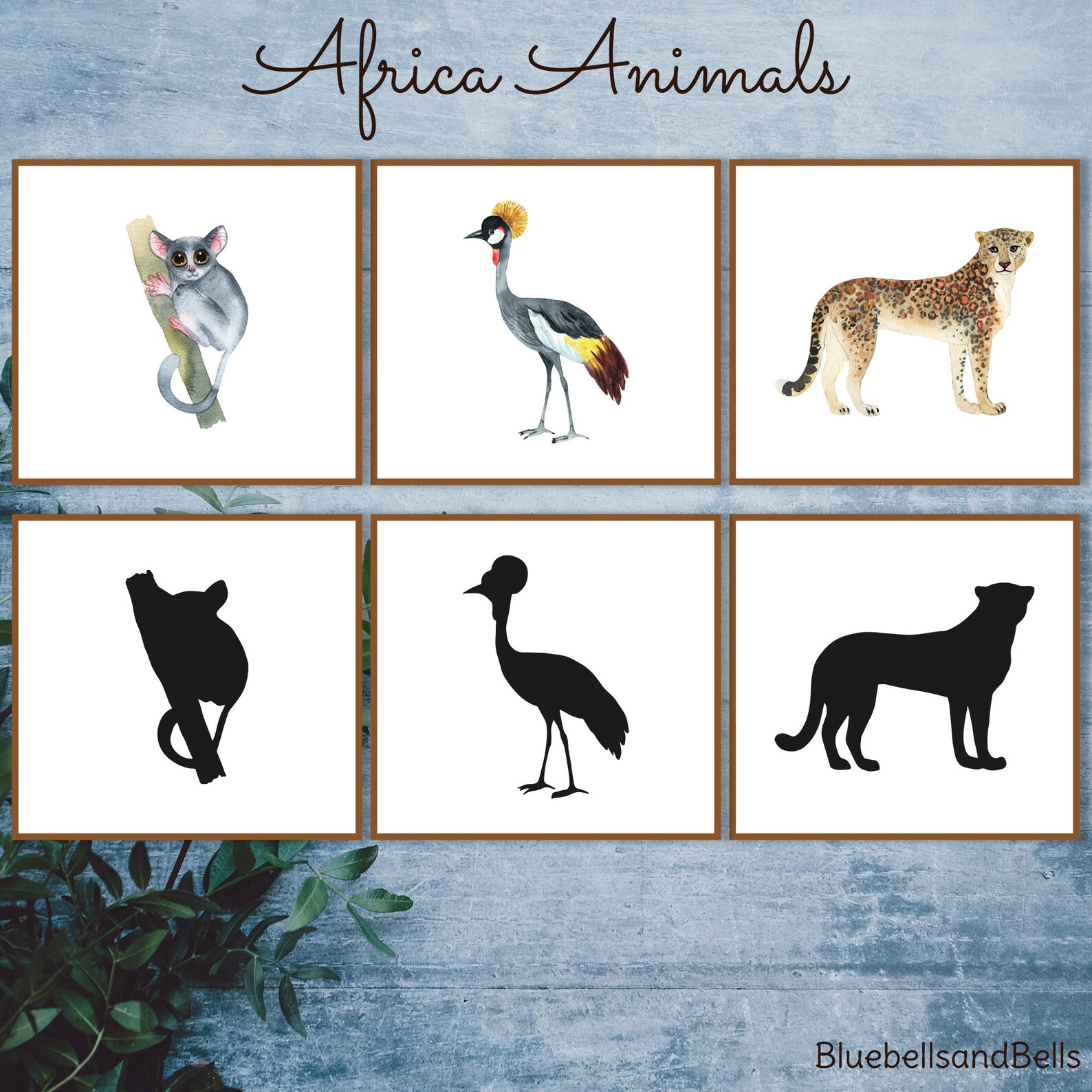 Africa Animal Shadow Matching Cards. Montessori Toddler - Etsy Canada