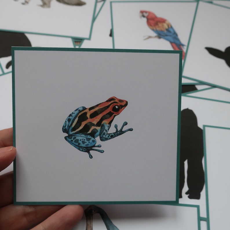 Rainforest Animals Shadow Matching Cards. Montessori Animal - Etsy