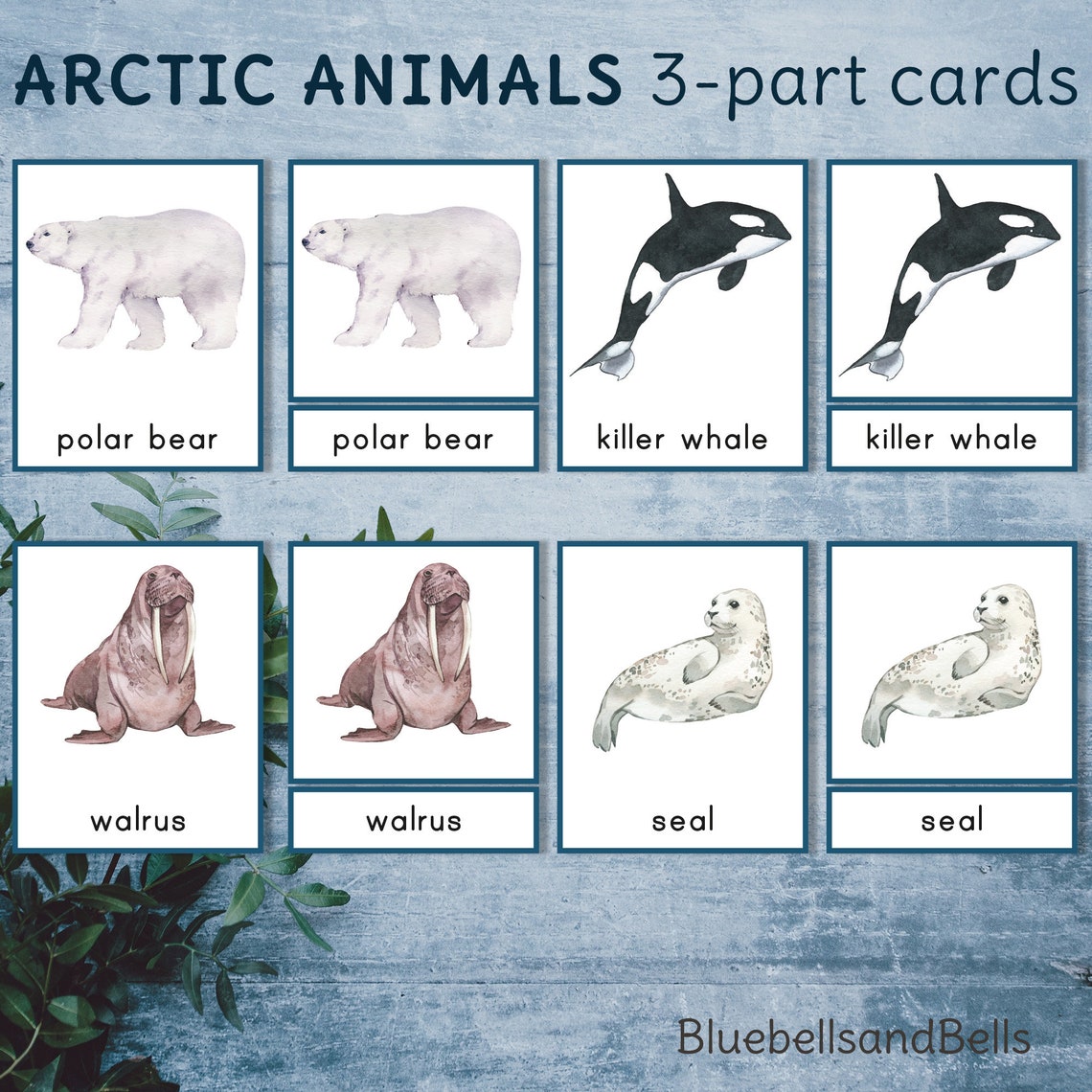 Arctic Animals 3 Part Cards. Montessori Winter Printable - Etsy