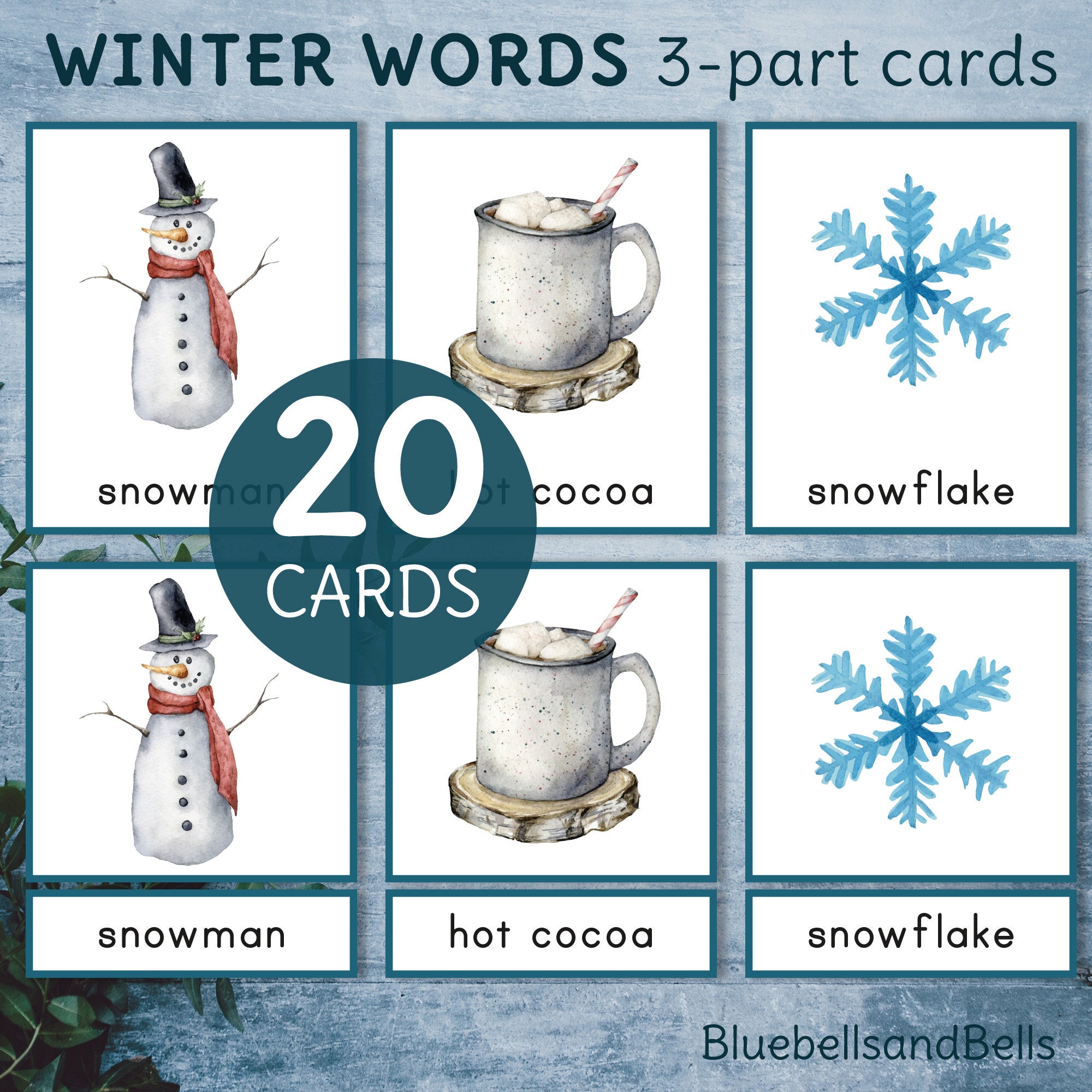 Winter Montessori Printable Vocabulary 3 Part Cards. Preschool - Etsy
