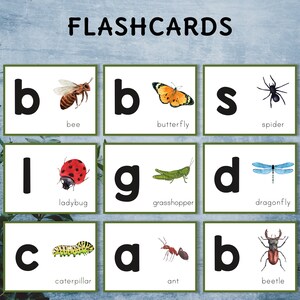 Phonics Printable INSECTS. Spring Preschool and Kindergarten Beginning ...