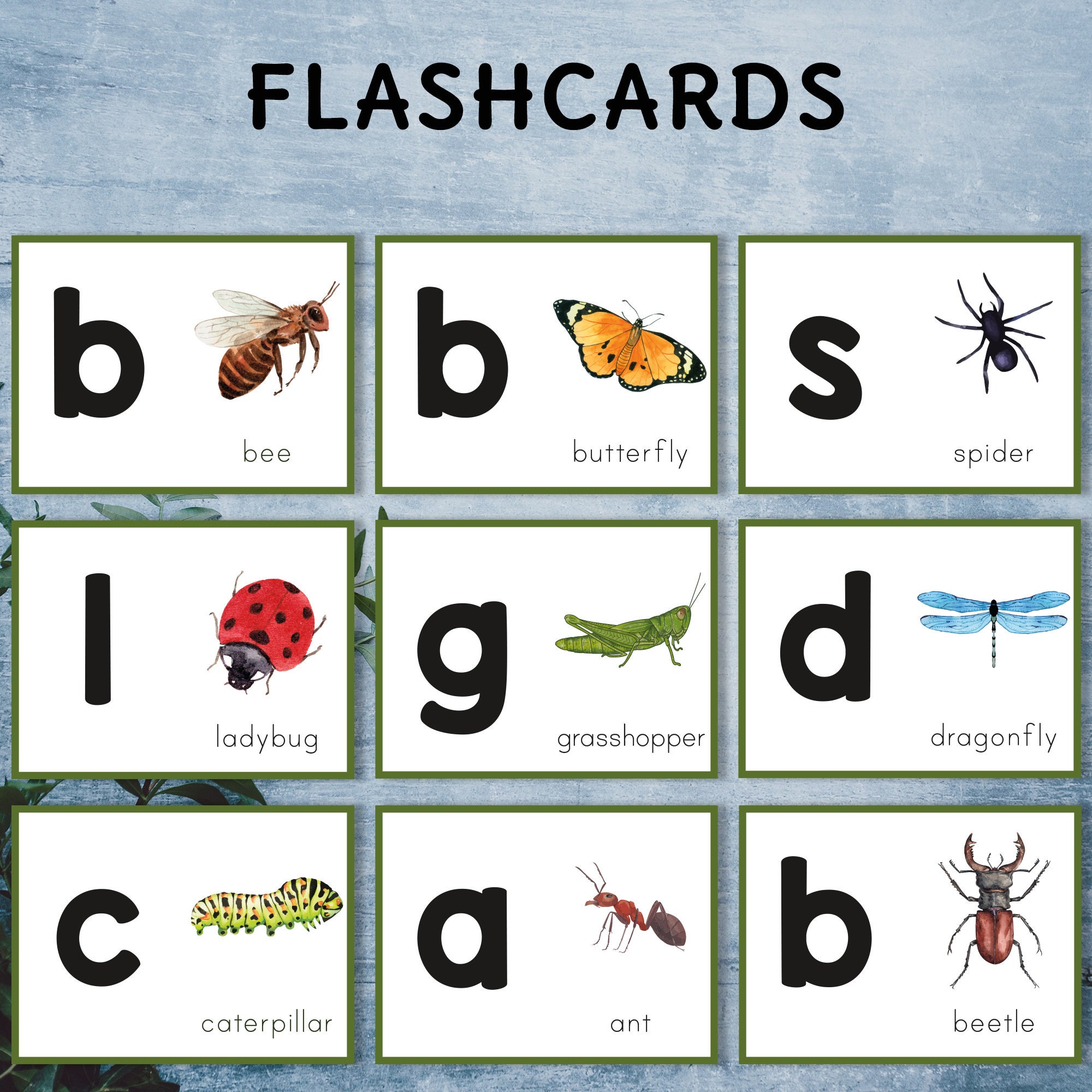 Phonics Printable INSECTS. Spring Preschool and Kindergarten - Etsy