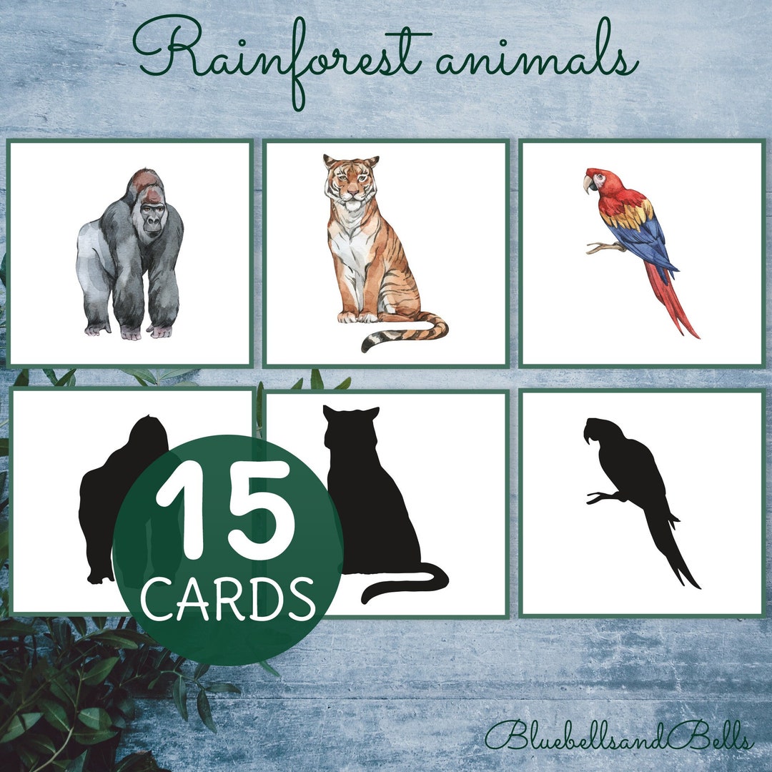 Rainforest Animals Shadow Matching Cards. Montessori Animal Printable ...