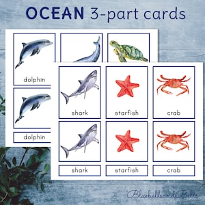 Ocean Montessori Printable 3 Part Cards. Preschool Vocabulary Cards ...