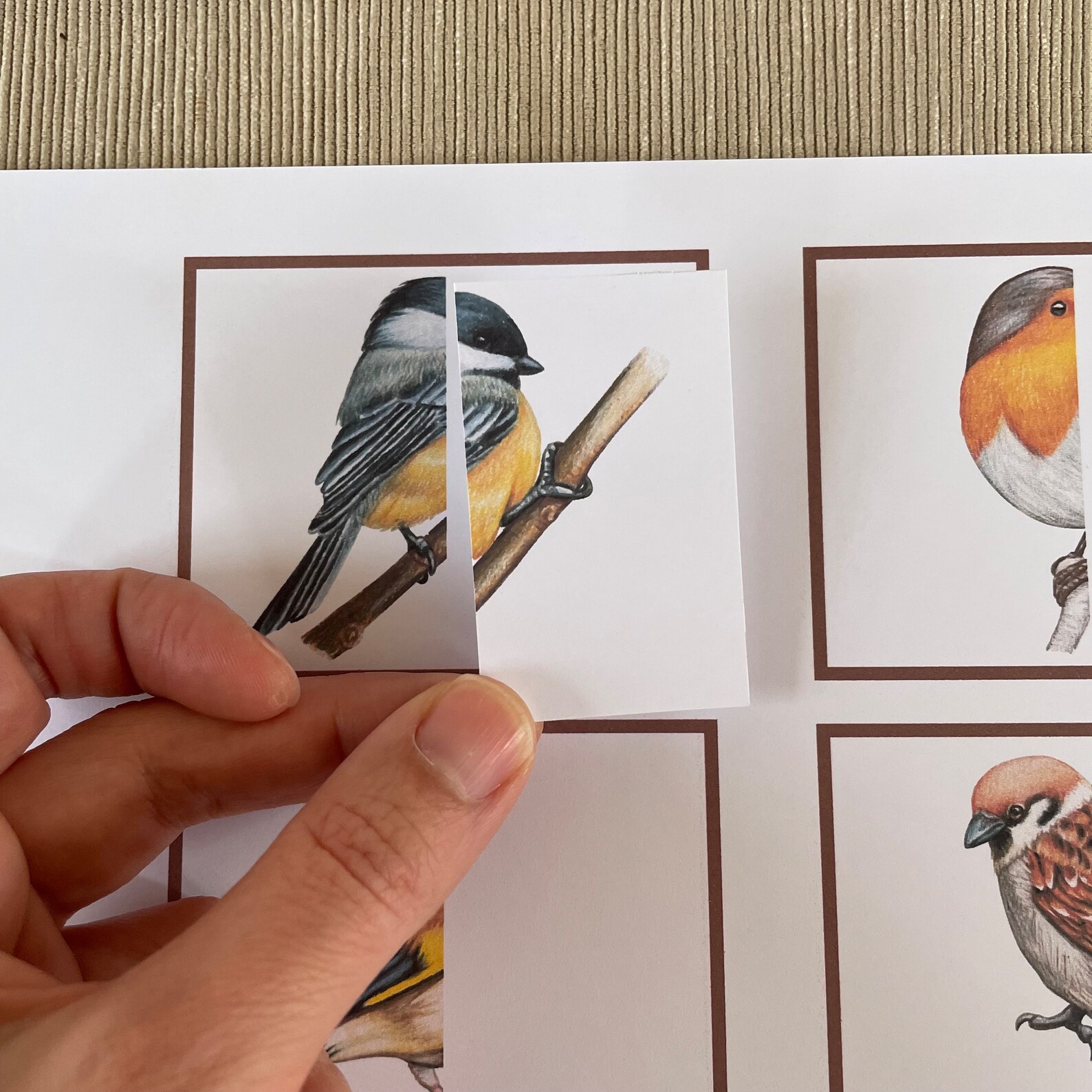 Toddler Puzzle Birds Halves Matching. Montessori Spring Printable Busy ...
