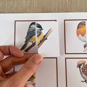 Toddler Puzzle Birds Halves Matching. Montessori Spring Printable Busy ...