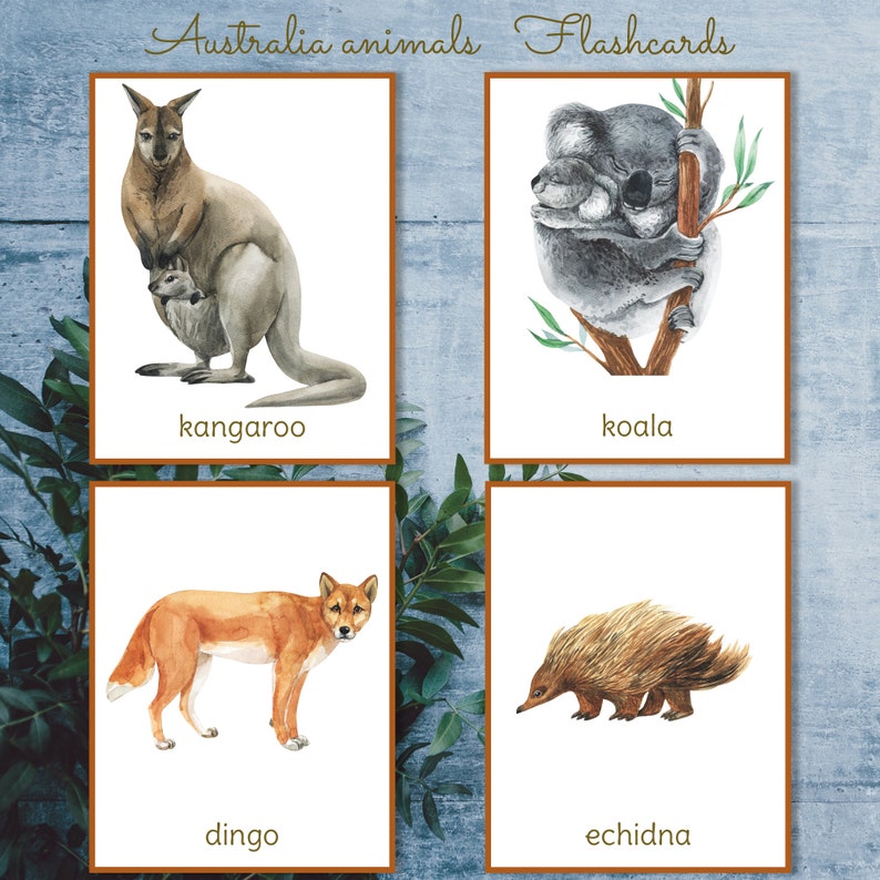 Australia Animal Flashcards and Shadow Matching Cards. - Etsy
