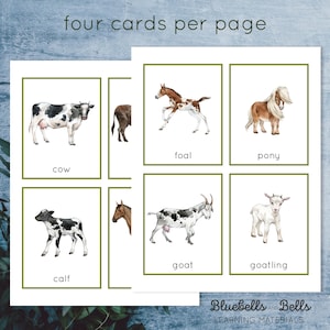 Farm Animals Flashcards. Toddler Watercolor Digital Cards. Preschool ...