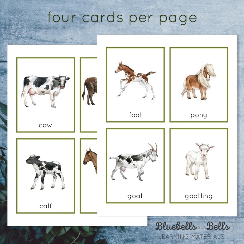 Farm Animals Flashcards. Toddler Watercolor Digital Cards. Preschool ...