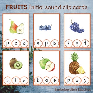Fruits Phonics Clip Cards. Montessori Beginning Sound Printable. - Etsy