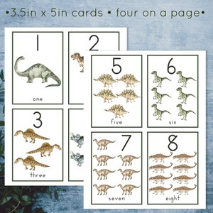 Dinosaur Counting Cards. Printable Dino Number Flash Cards. Preschool ...