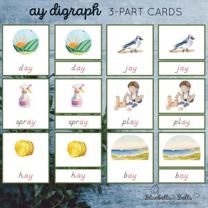 Montessori Printable Digraph 3-part Cards. Green Series Activity. - Etsy