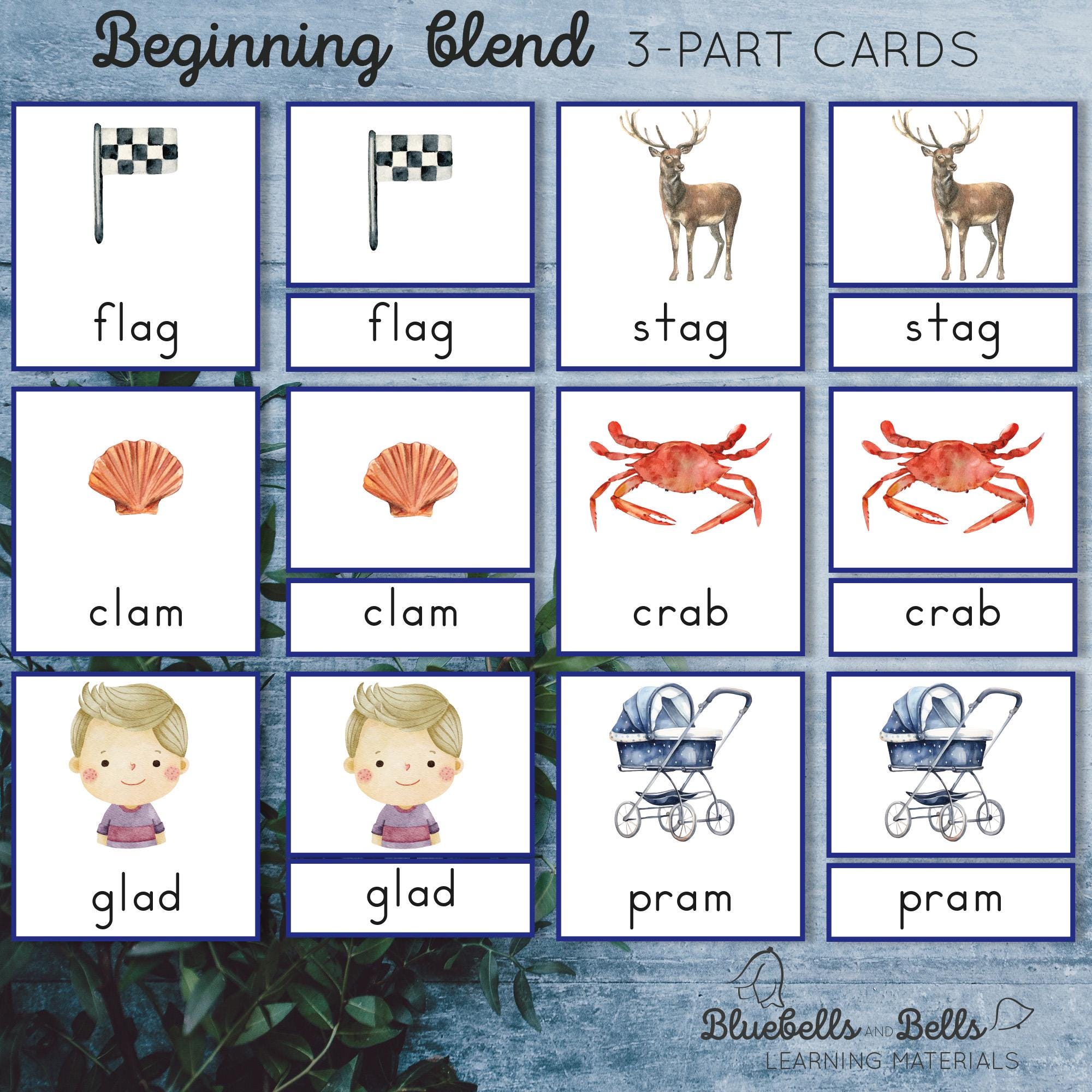 Beginning Blends 3-part Cards. CCVC Words Reading Activity. Montessori ...
