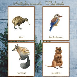 Australia Animal Flashcards and Shadow Matching Cards. Montessori ...