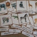 Africa Animals Montessori 3 Part Cards. Preschool and - Etsy