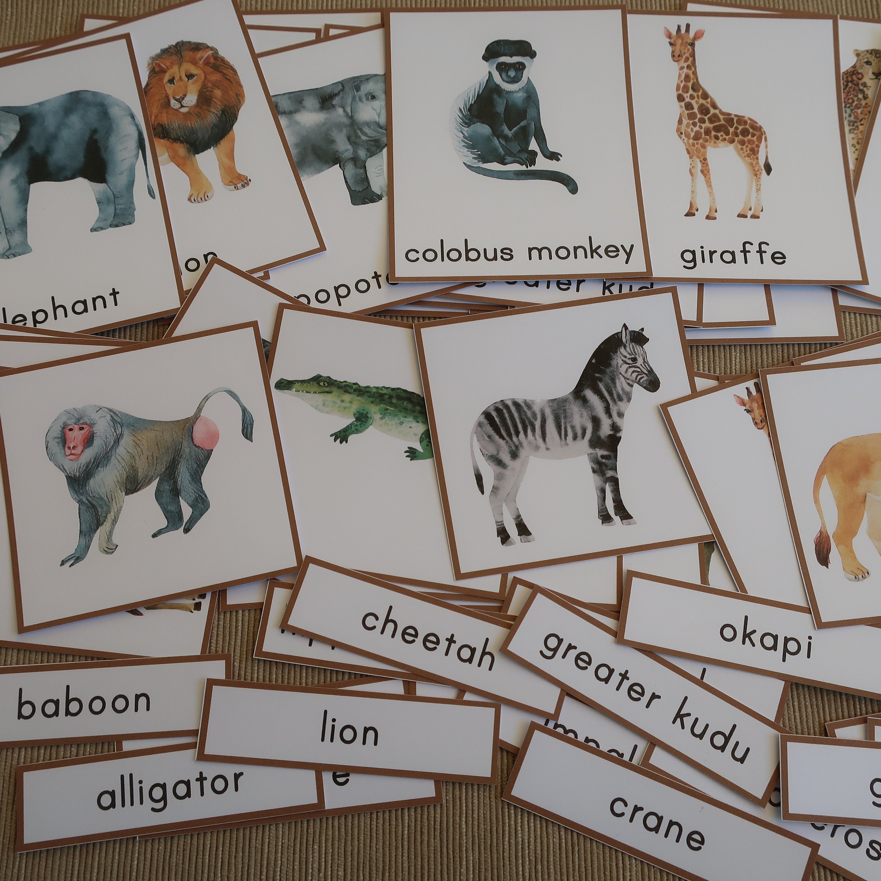 Africa Animals Montessori 3 Part Cards. Preschool and | Etsy
