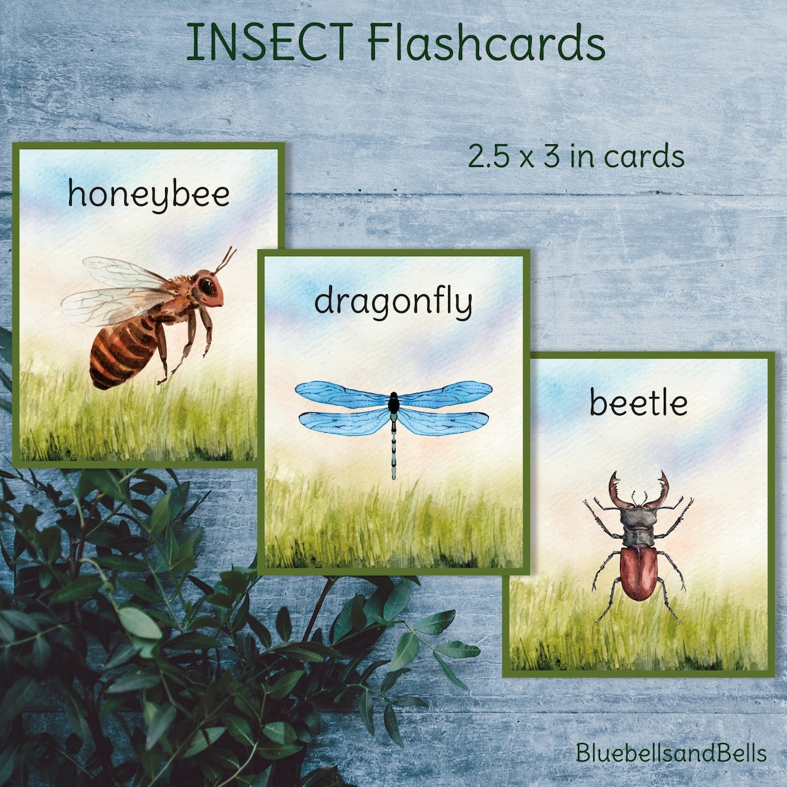 Insect Preschool Printable Mini Flashcards. Watercolor Animal | Etsy