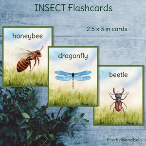Insect Preschool Printable Mini Flashcards. Watercolor Animal Cards for ...
