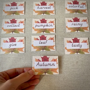 Fall Parts of Speech Sorting Printable Cards. Noun, Verb, Adjective ...