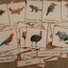 Australia Oceania Animals Montessori Printable 3 Part Cards. Vocabulary ...