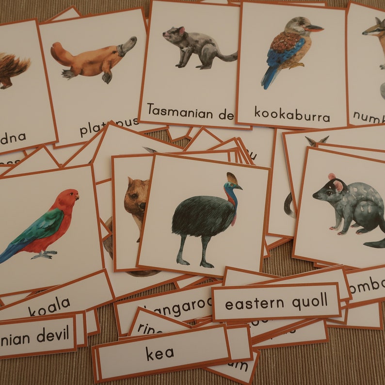 Australia Oceania Animals Montessori Printable 3 Part Cards. - Etsy