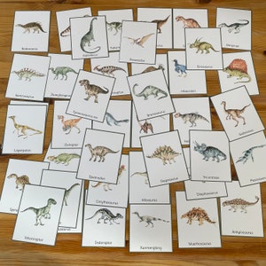 Dinosaur Flash Cards. Watercolor Dinosaur Identification Printable ...