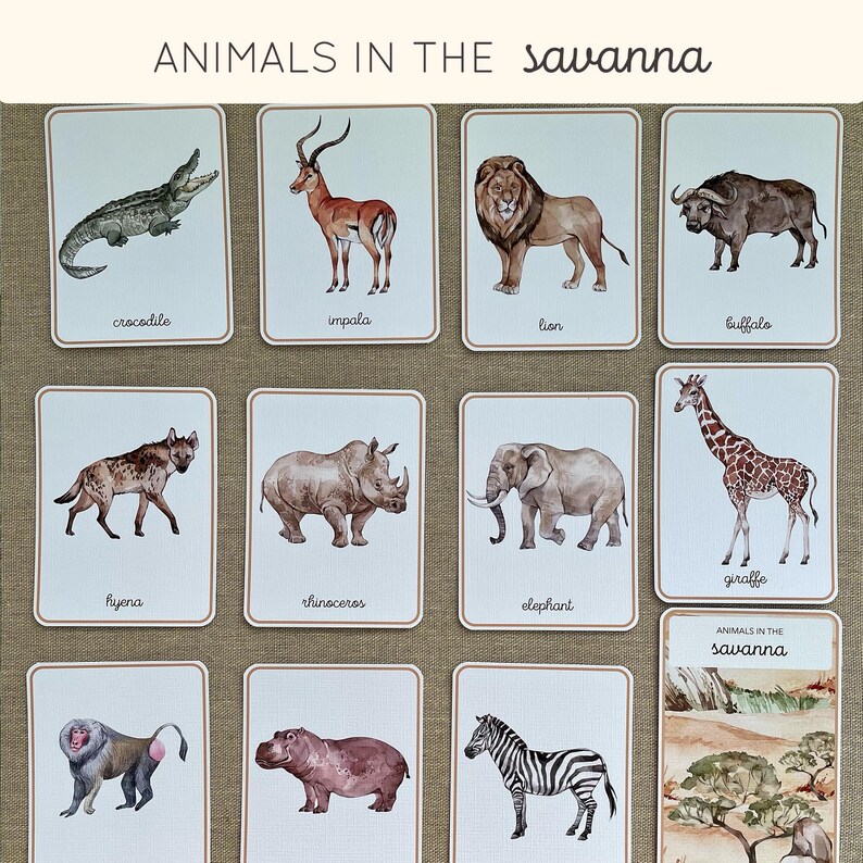 Farm Animal Flashcards, Woodland Animals, Ocean, Rainforest Cards ...