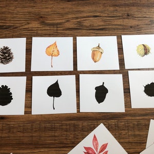 Autumn Shadow Matching Montessori Printable. Fall Nature Activity ...