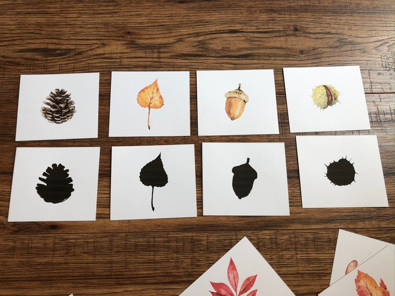Autumn Shadow Matching Montessori Printable. Fall Nature - Etsy