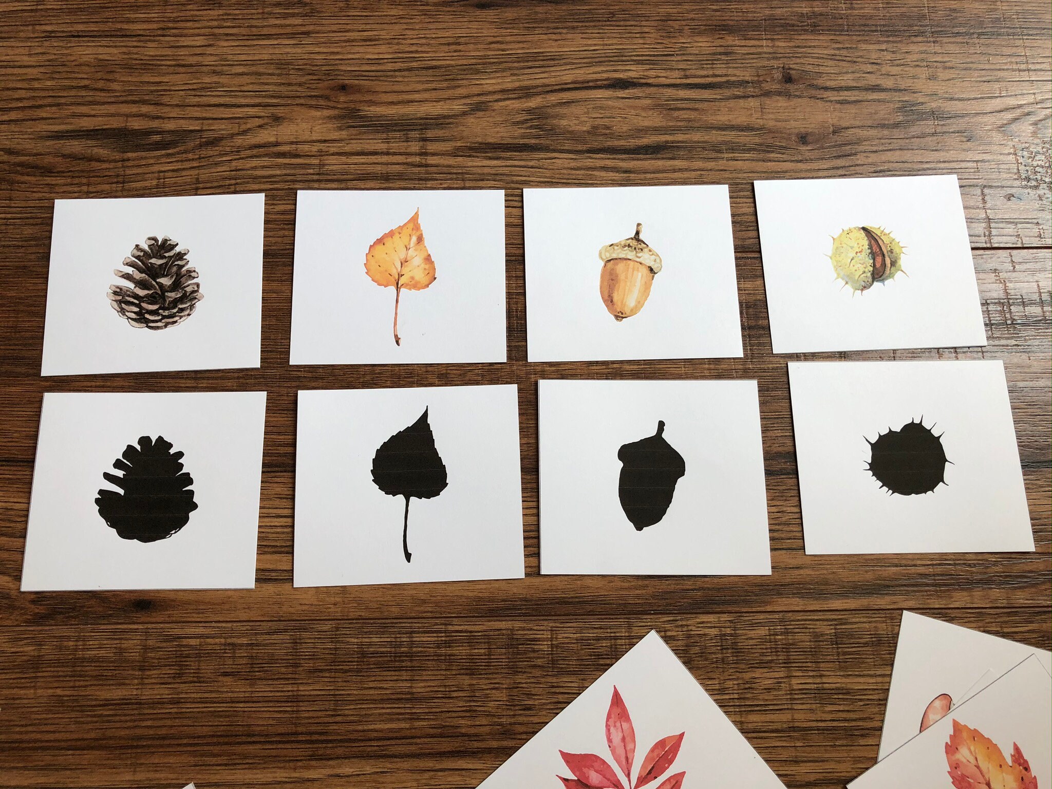 Autumn Shadow Matching Montessori Printable. Fall Nature - Etsy