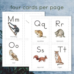 Animal Alphabet Cards. Watercolor Letter Flash Cards. Classroom ABC ...