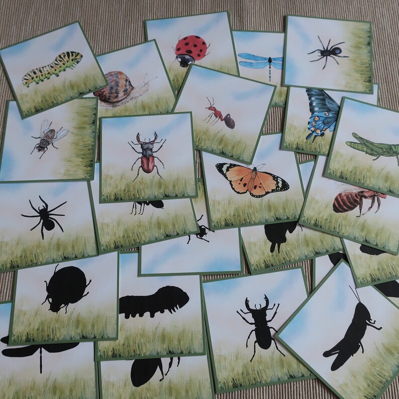 Insect Shadow Matching Cards. Montessori Pre-reading Printable | Etsy