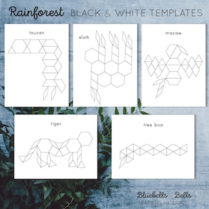 Rainforest Animals Pattern Blocks. Preschool Shape Matching Activity ...