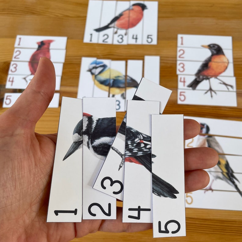 Toddler Puzzle Birds Number Sequence 1-5. Montessori Printable Matching ...