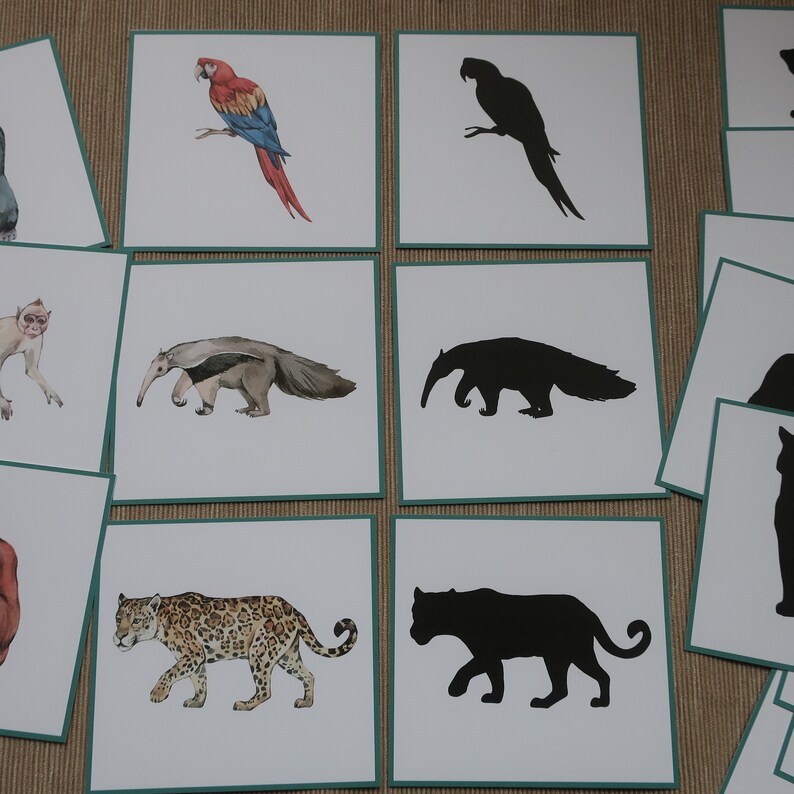 Rainforest Animals Shadow Matching Cards. Montessori Animal - Etsy