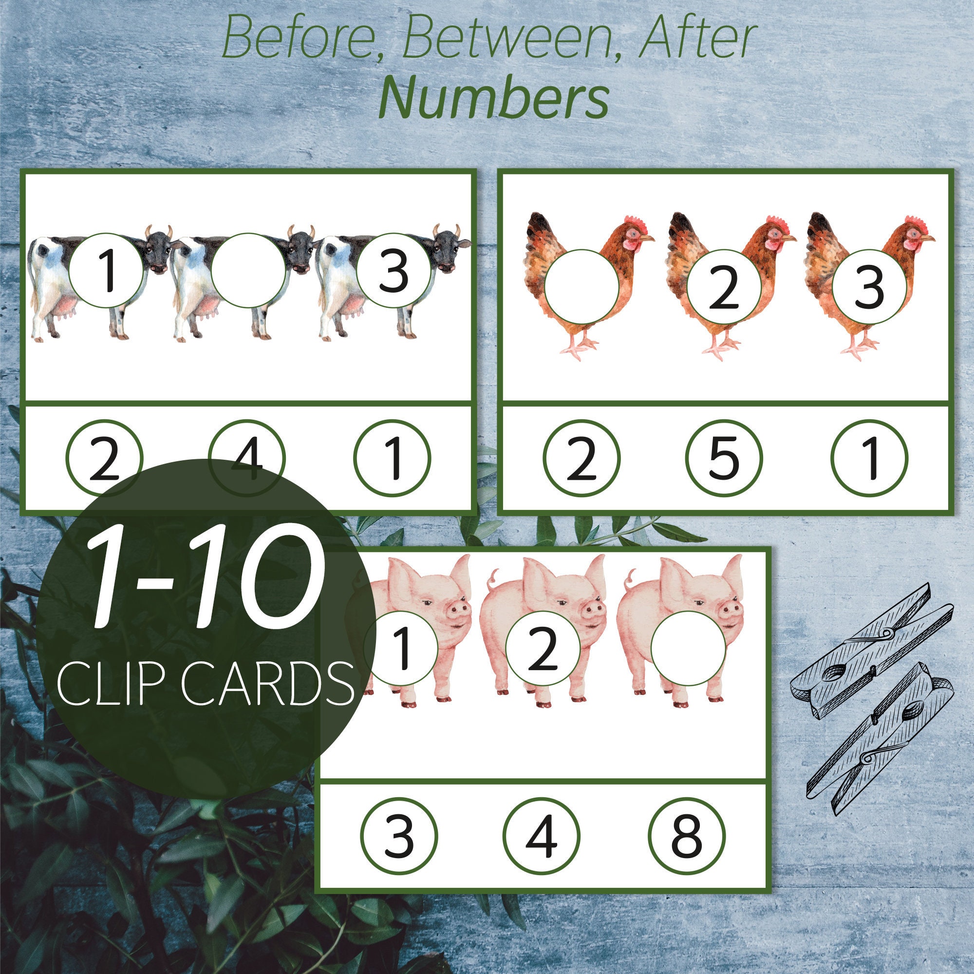 Farm Animal Number Sequence Clip Cards 1-10. Before Between - Etsy