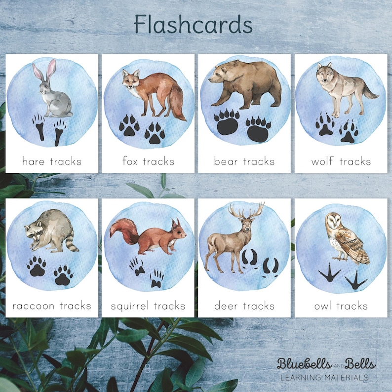 Winter Woodland Animal Tracks Flashcards. Montessori Winter Printable ...